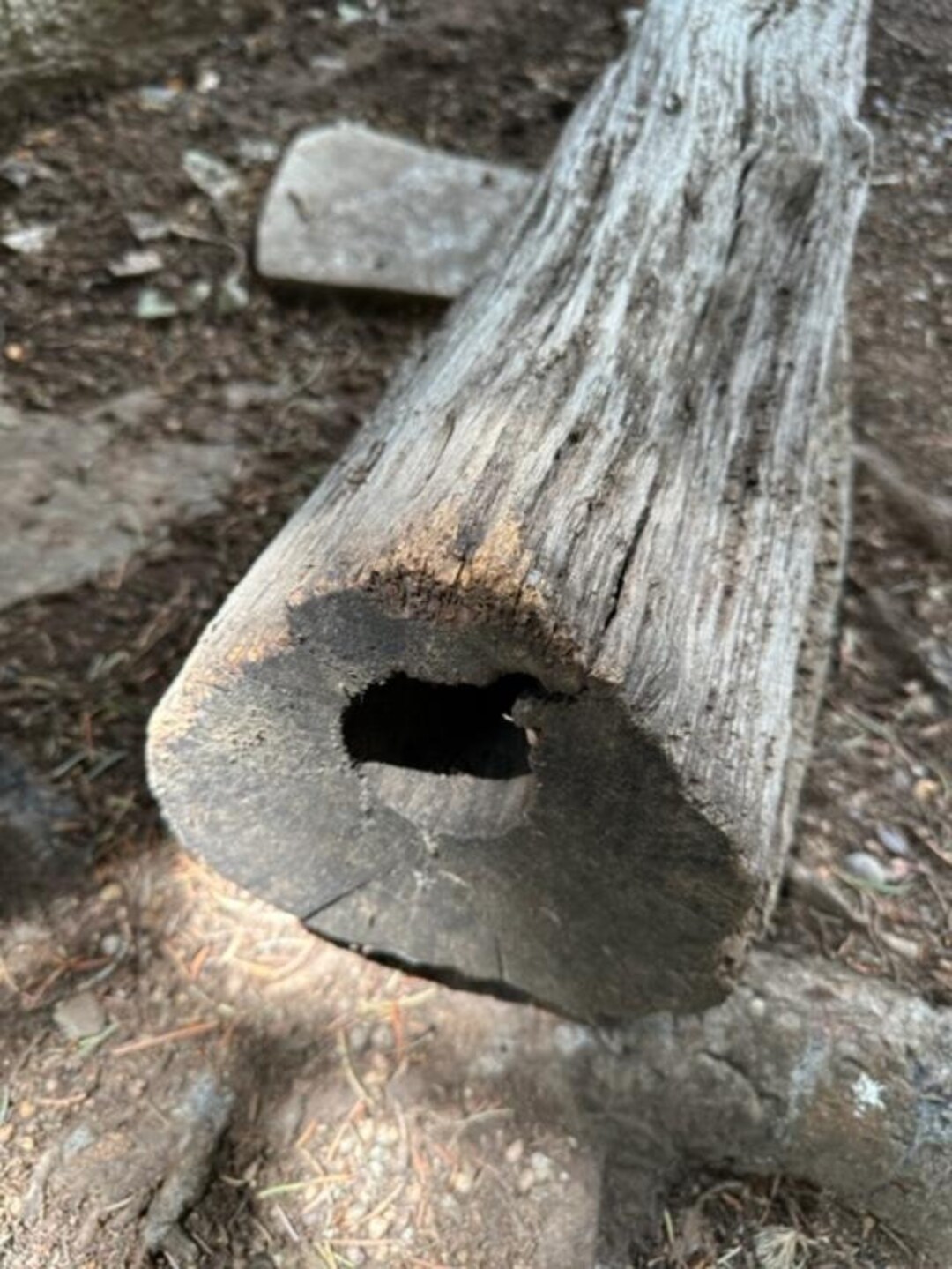 300 Year Old Wood Underground Pipe for Carrying Gravity Fed Water ...