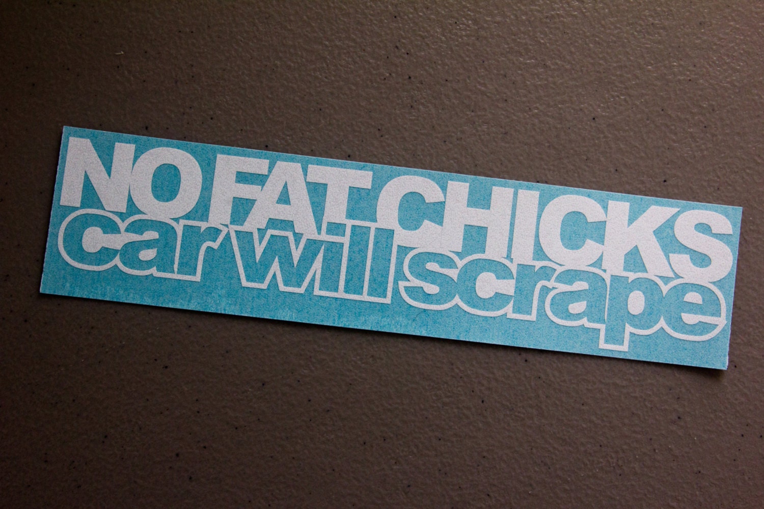 No Fat Chicks Sticker/decal 8 Wide X 1.8 High - Etsy