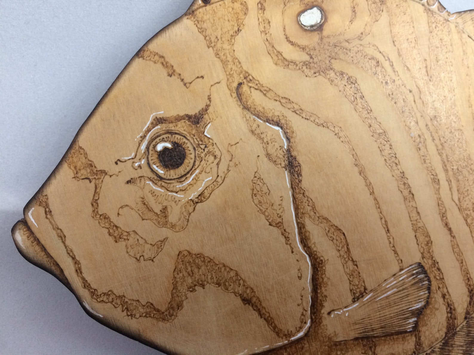 Pyrography Fish, Medium Stripy, Burnt Wood, Illustration, Wall Hung ...