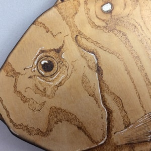 Pyrography Fish, Medium Stripy, Burnt Wood, Illustration, Wall Hung ...
