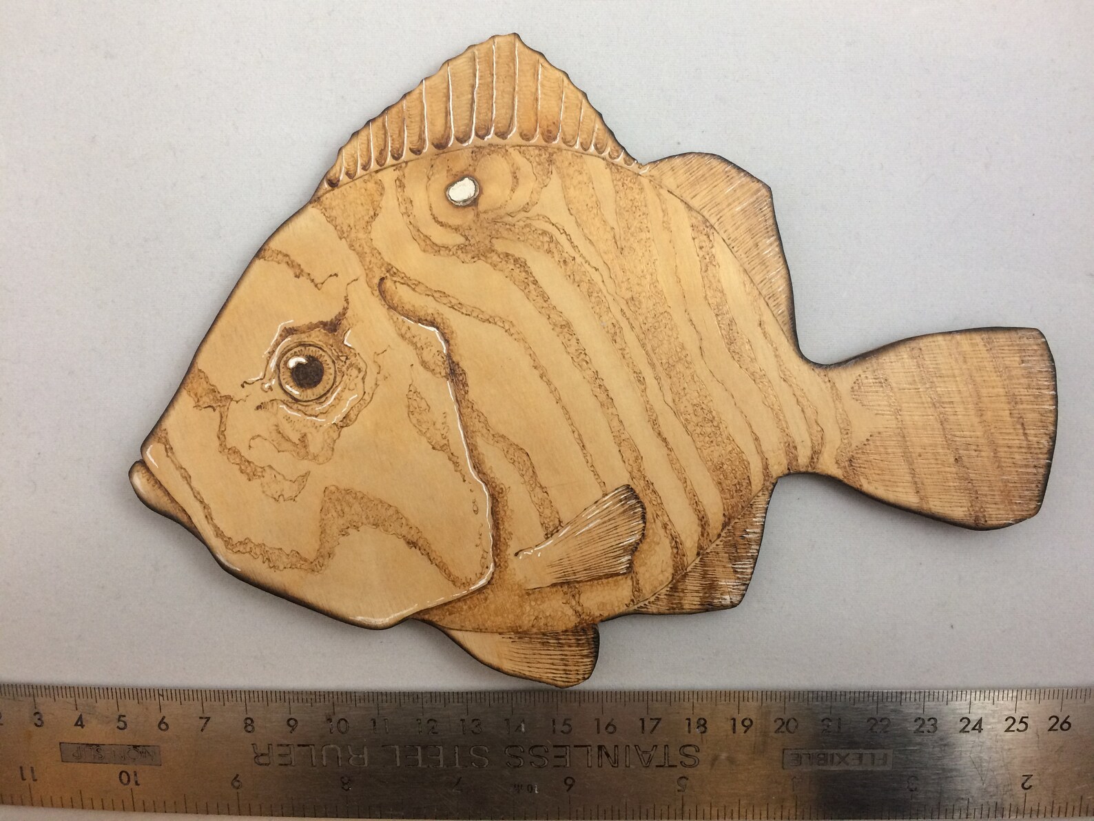 Pyrography Fish, Medium Stripy, Burnt Wood, Illustration, Wall Hung ...