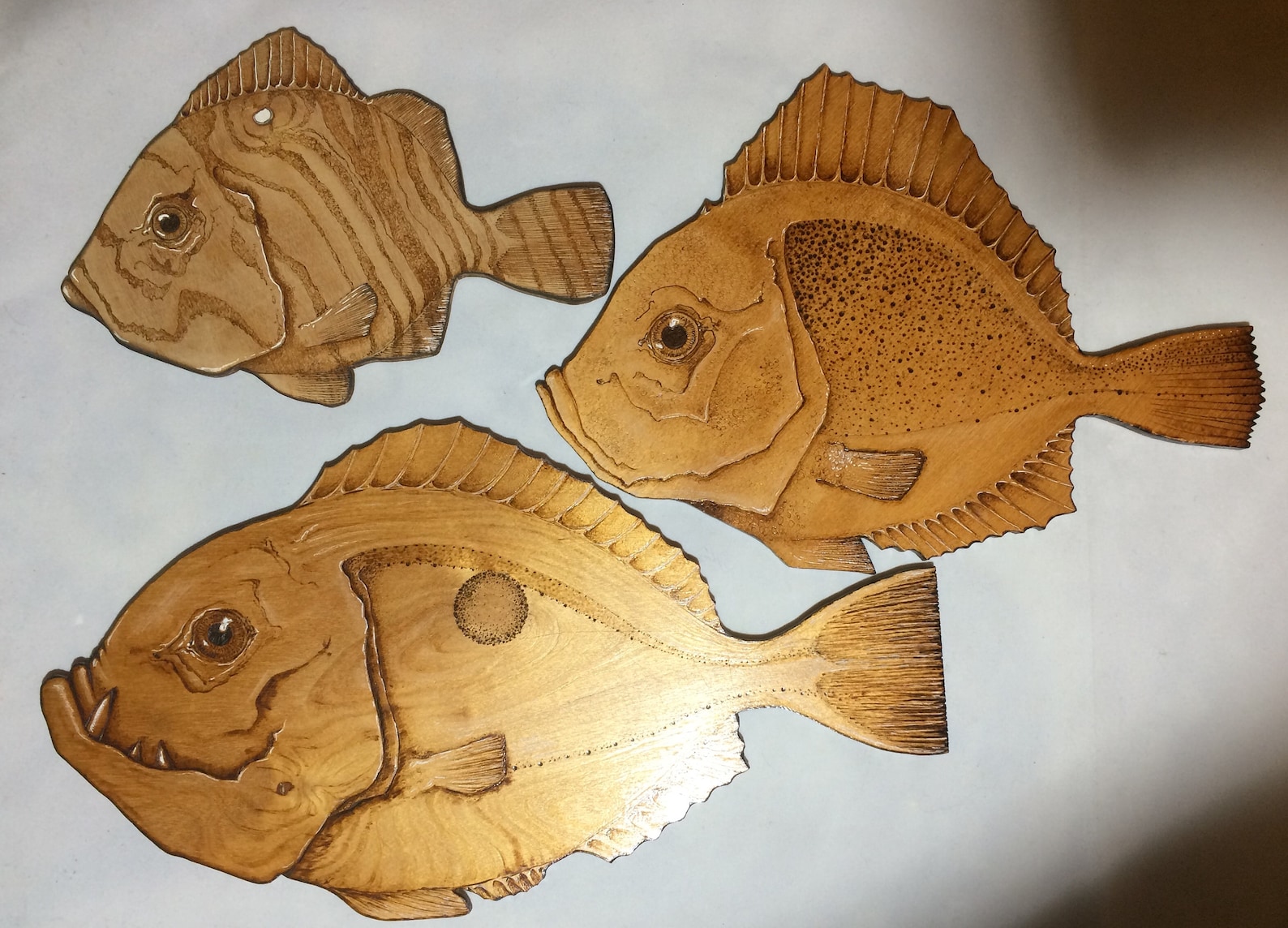 Pyrography Fish, Medium Stripy, Burnt Wood, Illustration, Wall Hung ...