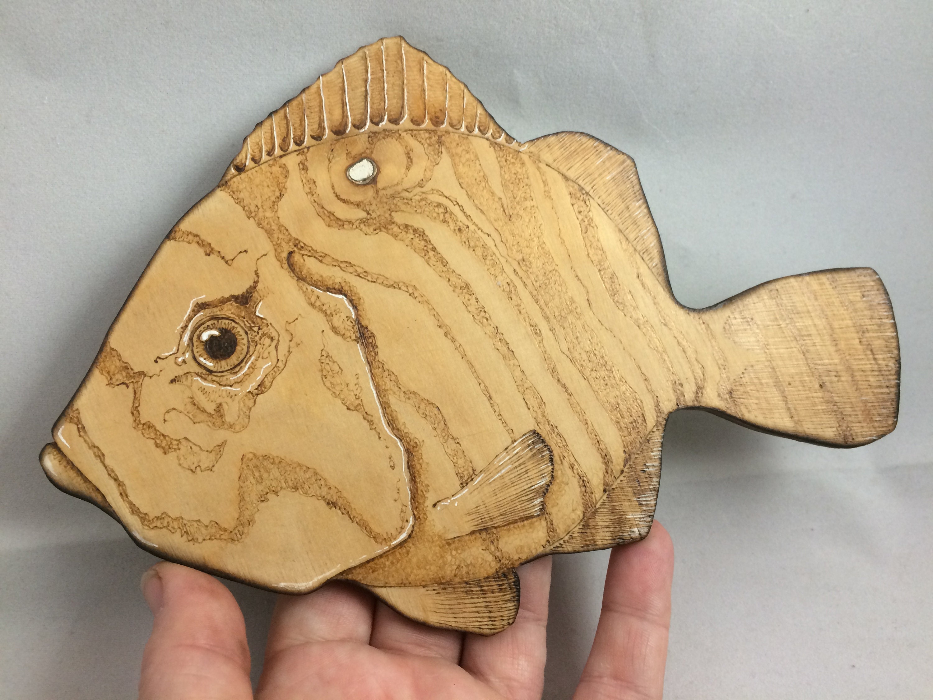 Pyrography Fish Medium Stripy Burnt Wood Illustration Wall - Etsy UK