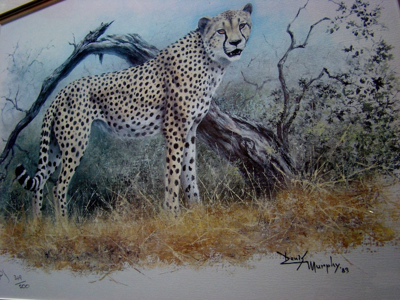 Denis Murphy Renown African Wildlife Artist Limited Edition Print 1983 ...