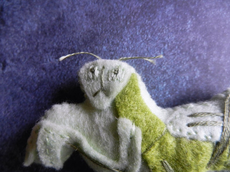 Felt #2 Bugs Insects Firefly Rhino Beetle June Bug Cicada Caterpillar ...