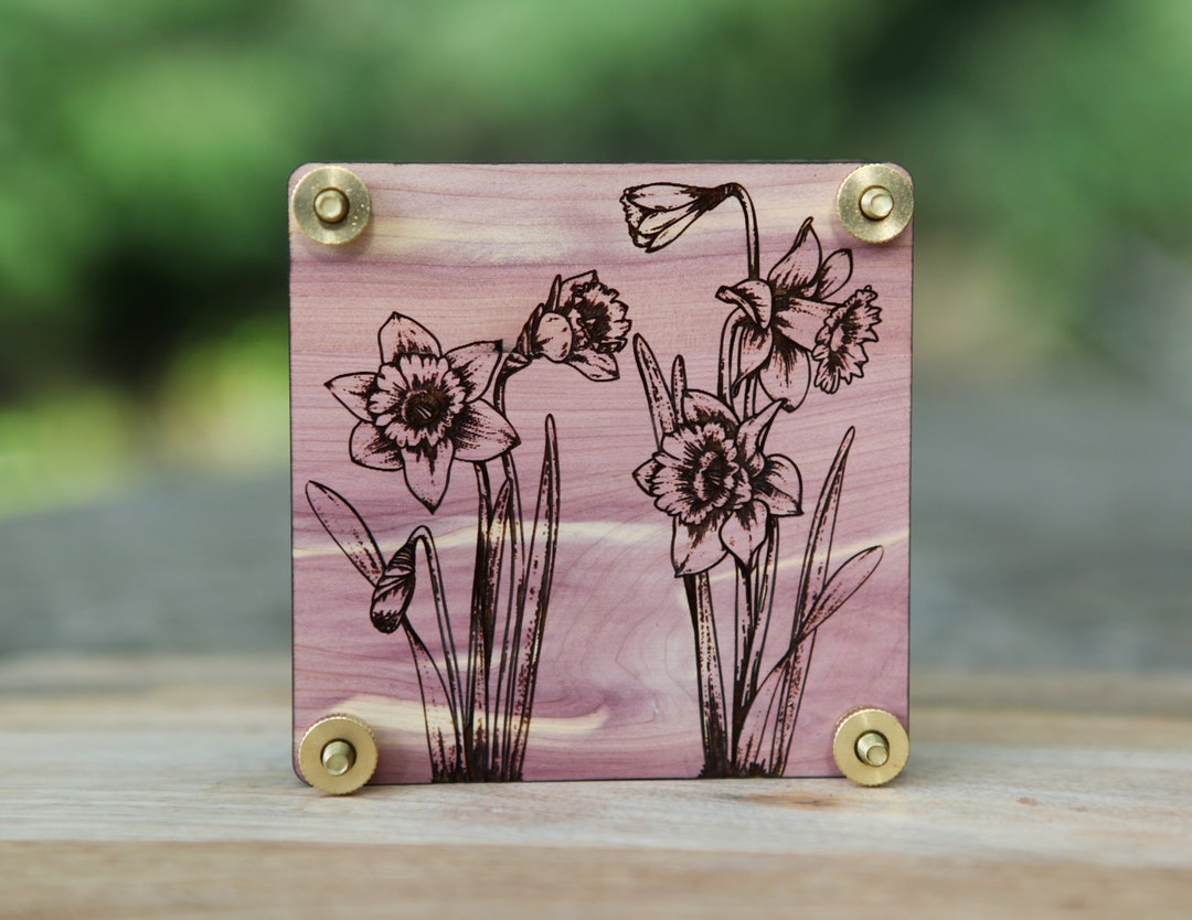 Flower Press Kit With Engraved Daffodil Flowers Made From Cedar Wood ...