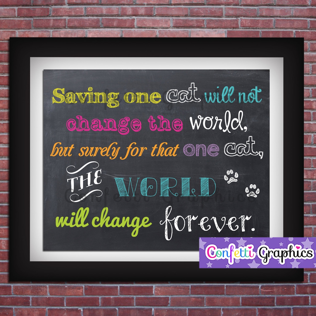 Saving One Cat Will Not Change the World but Surely for That One Cat ...