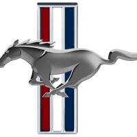 Flaming Ford Logo Decals Set of 2 Each Right Left Ford Logo Flame ...