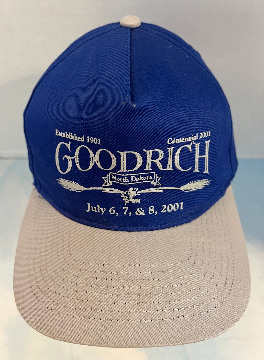 Goodrich North Dakota Centennial Hat Blue Gray Snapback San Sun - Etsy