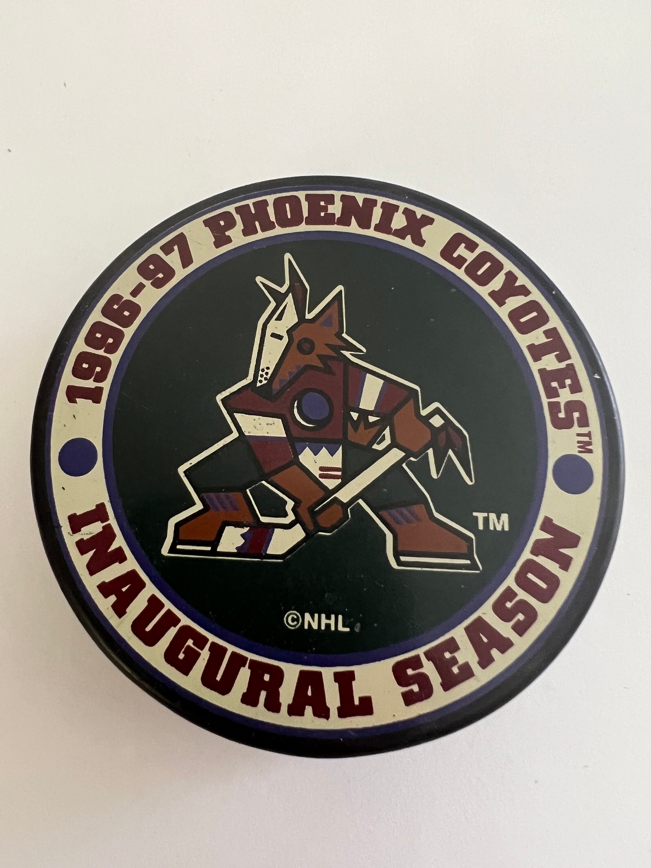 How To Draw The Phoenix Coyotes Logo