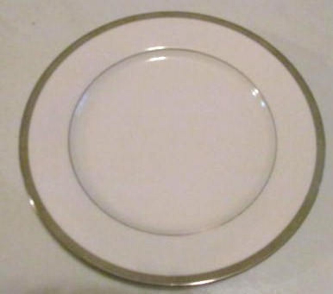 Charter Club Bridgeton Dinner Plate: White Stoneware With Platinum Band ...