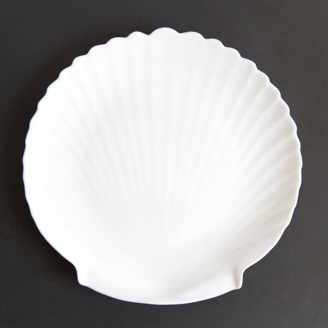 Clam Shell | Clam Shell Plate | Wall Decor Clam | Display Plate ...