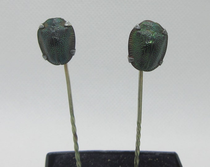 Antique Sterling Silver Real Green Insect Scarab Beetle - Etsy