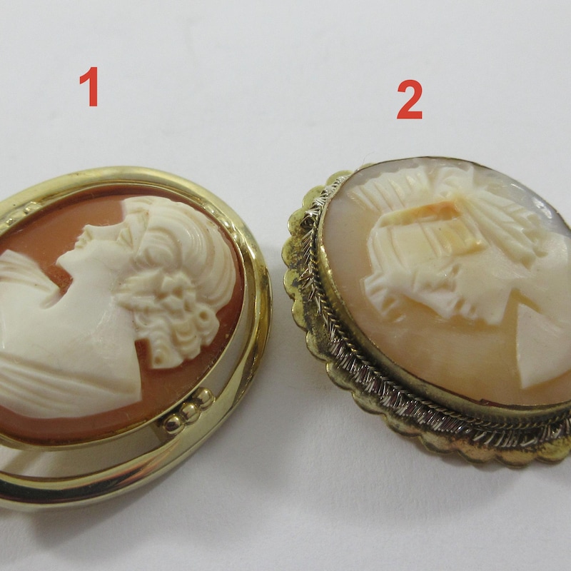 Shell Cameo - Etsy