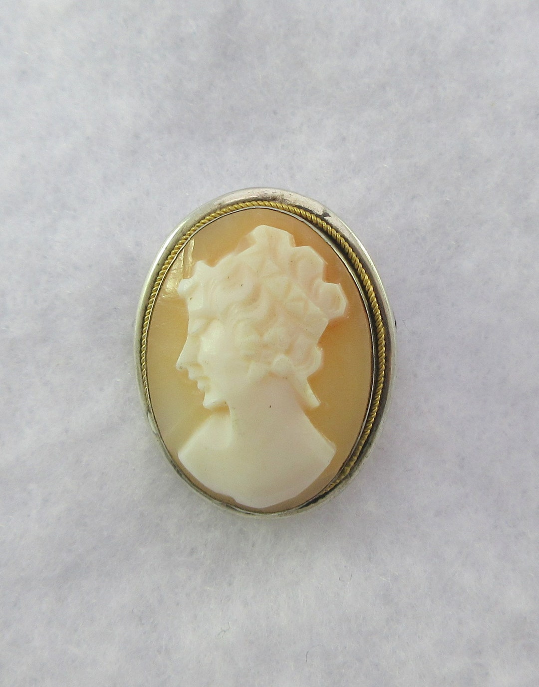 Small 800 Silver Shell Cameo Pendant or Brooch-as It Is - Etsy