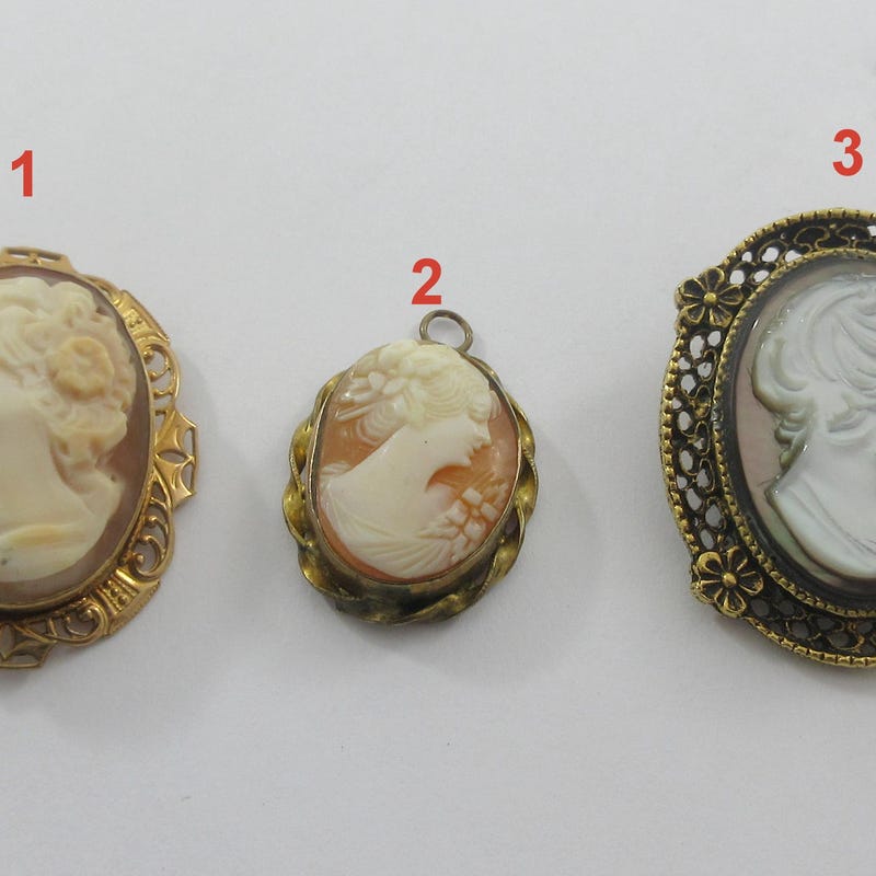 Shell Cameos - Etsy