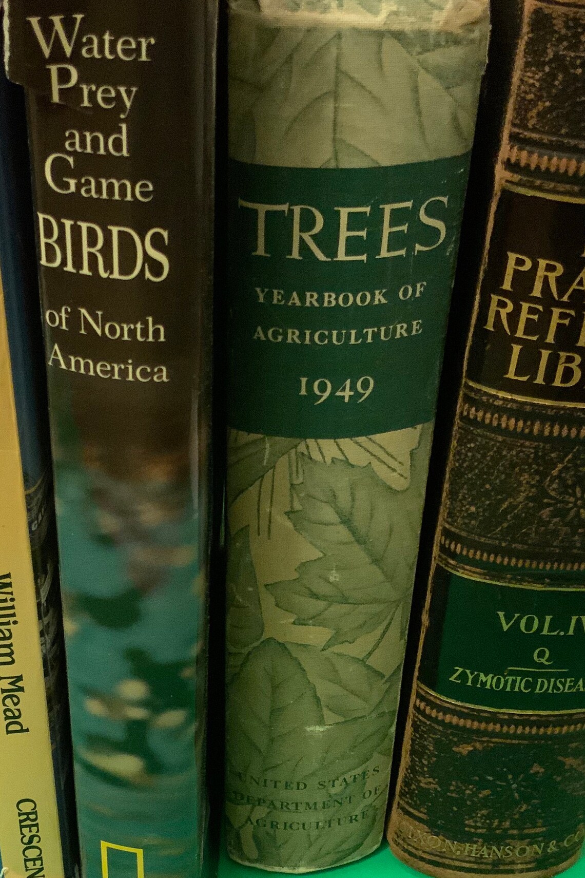Vintage Book About Trees and Agriculture, 1949 Copyright, Hardbound ...