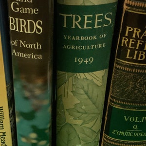 Vintage Book About Trees and Agriculture, 1949 Copyright, Hardbound ...