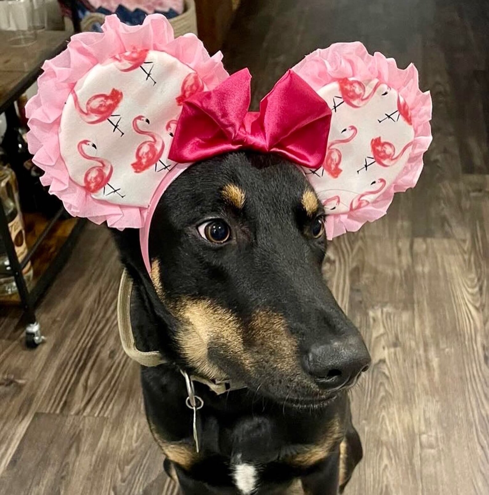 Let’s Flamingle Mouse Ears | Summer Mouse Ears | Flamingo - Etsy