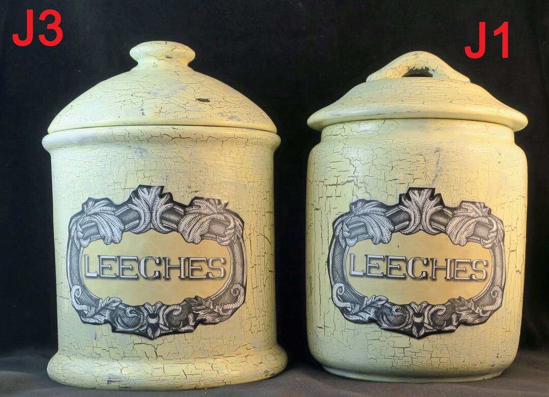 Leeches Canister / Pot / Pottery Good for Washroom Storage or Would Be ...
