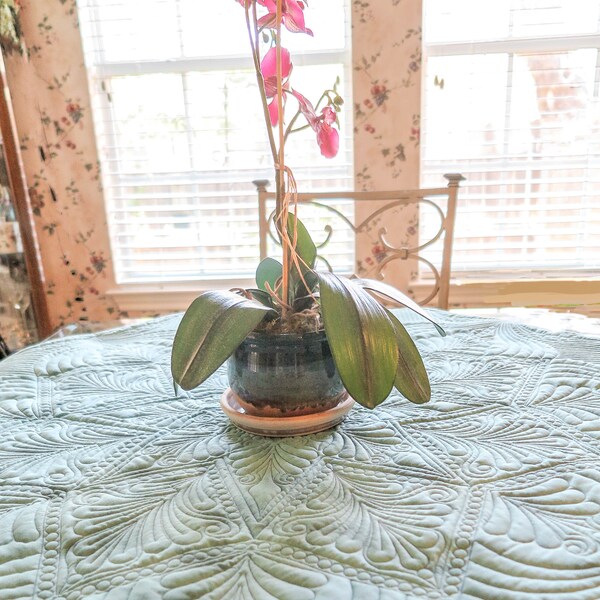 Whole Cloth Quilt - Etsy