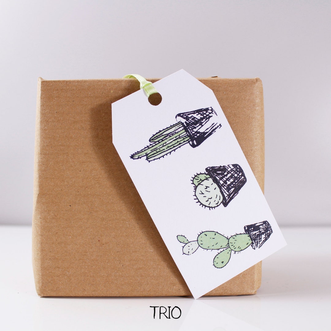 Cacti Succulent Gift Tag House Plant Gift Tag Cactus Gift Tag Cacti ...