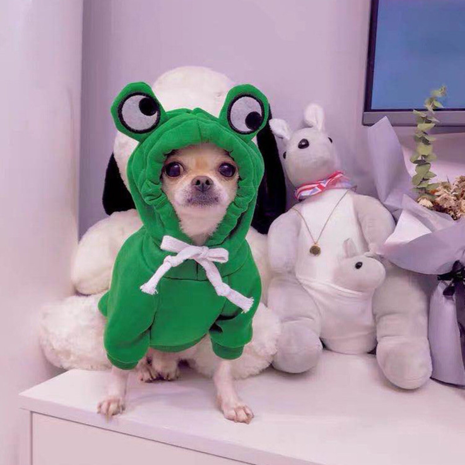 Funny Frog Dog Hoodie Dog Halloween Costume Dog Jacket Dog - Etsy