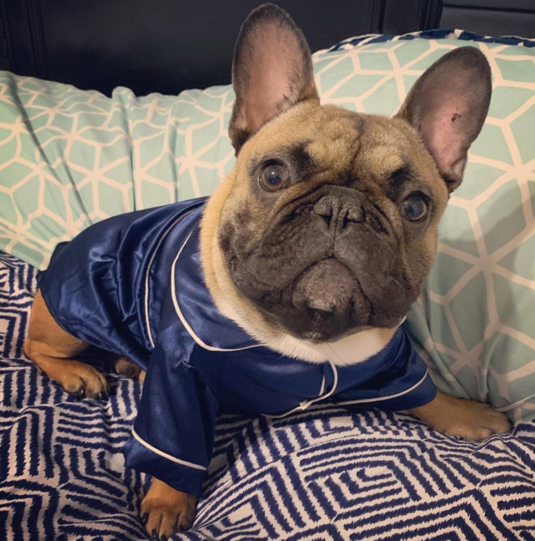 Dog Silk Pajamas,dog PJ'S, Dog Pajamas, Pet Pajamas, NAVY BLUE Pj's - Etsy