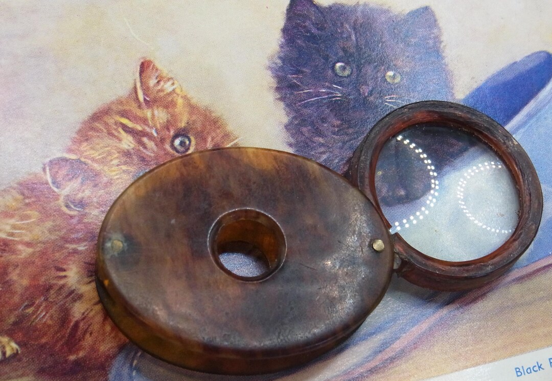 Antique Monocle, Eye Glass in Case, Circa 1920s, Faux Tortoisehell ...