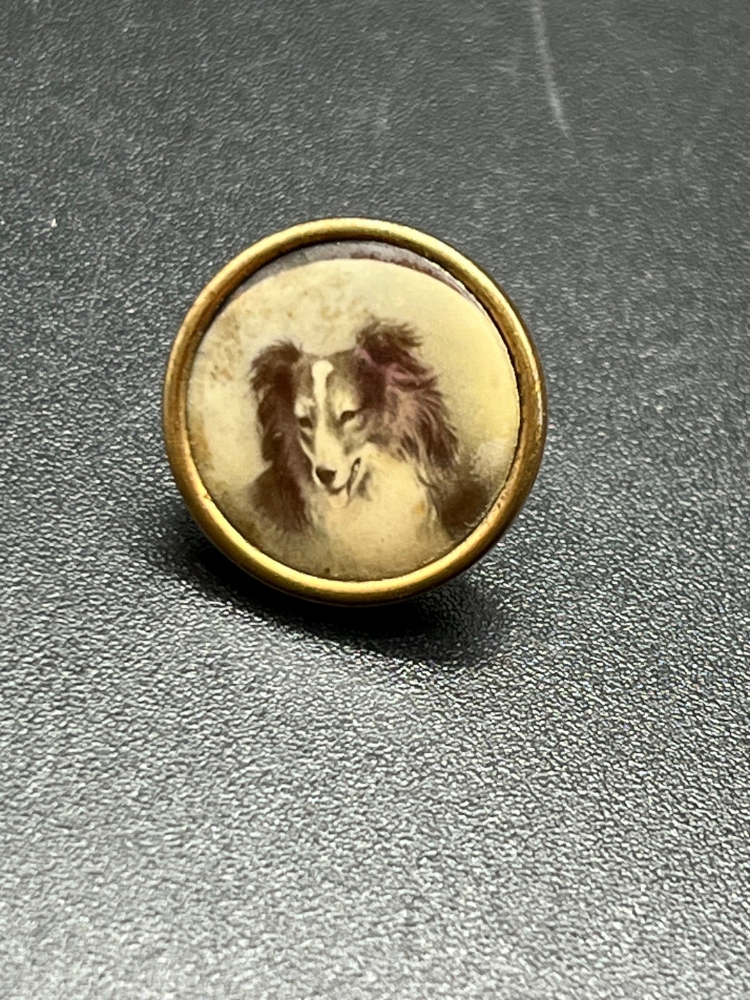 English Antique Button Victorian Dog Lithograph Under Celluloid Button ...
