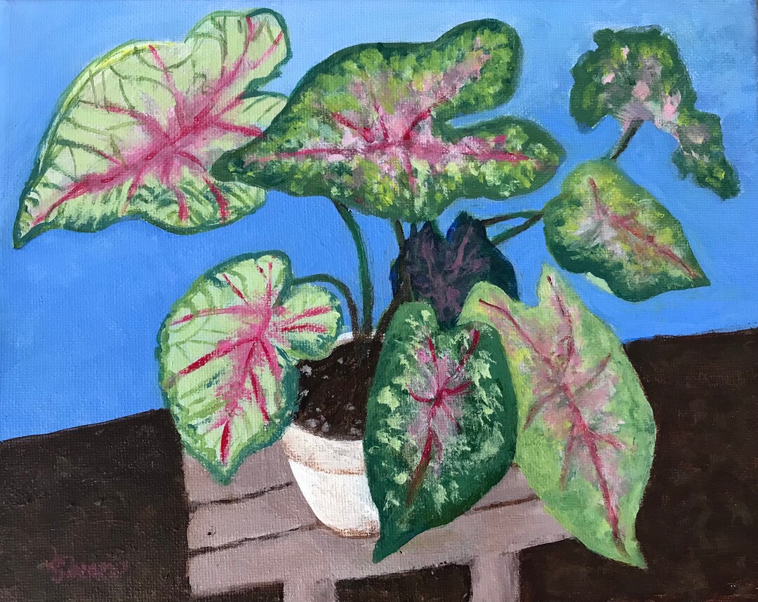 Original Acrylic Painting "caladium Joy" Painted on Canvas Measuring 10 ...