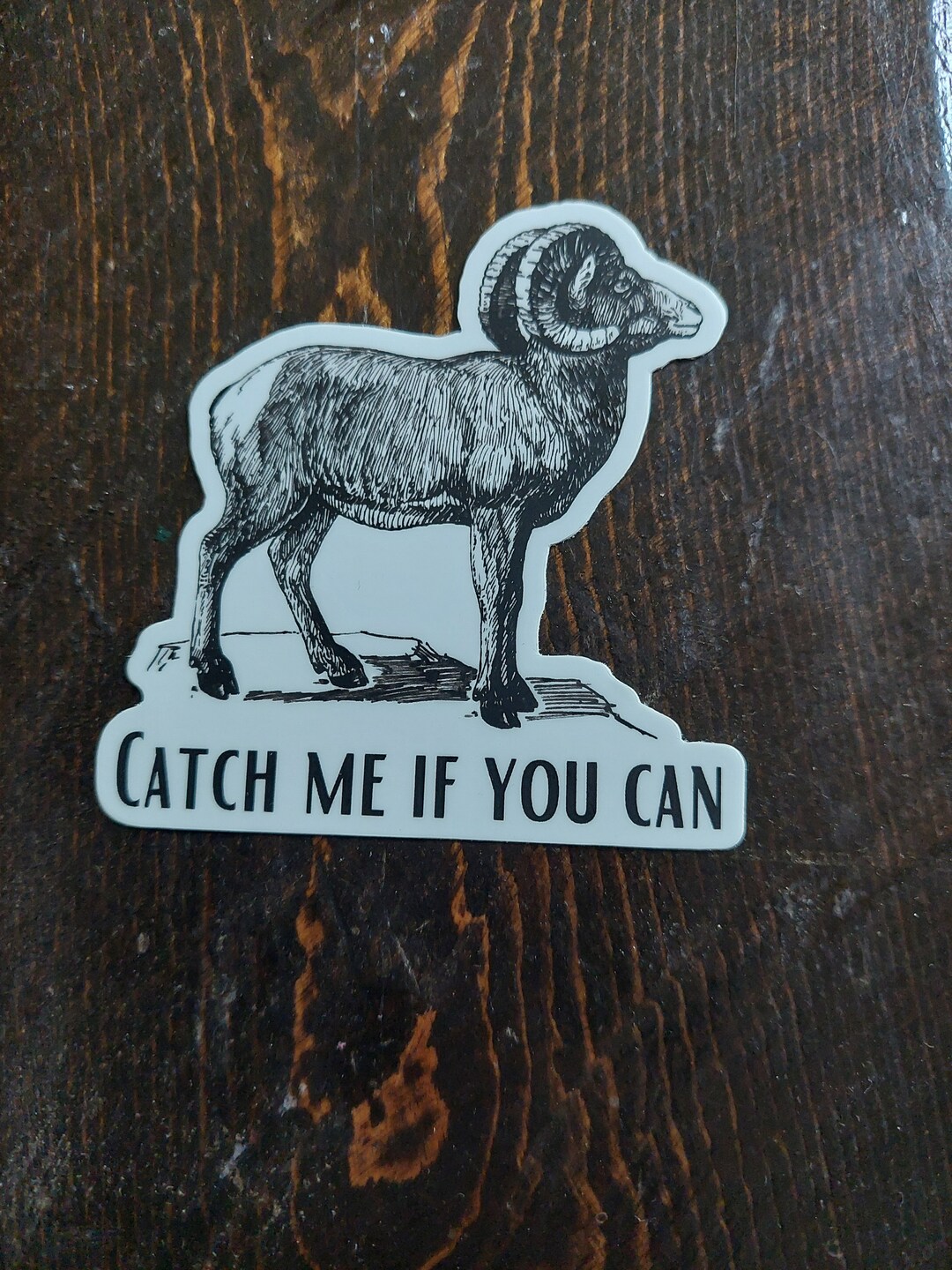 Sheep Sticker - Etsy