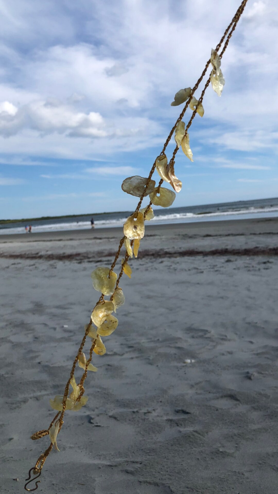 Jingle Shell Garland #3 - Etsy