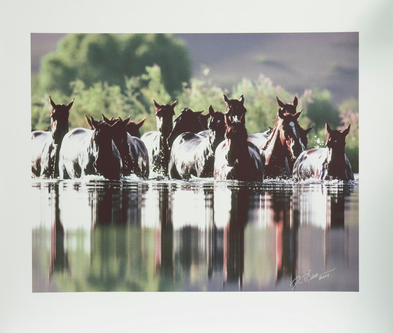 Western Ranching and Cowboy Lifestyle Photography by David Stoecklein ...