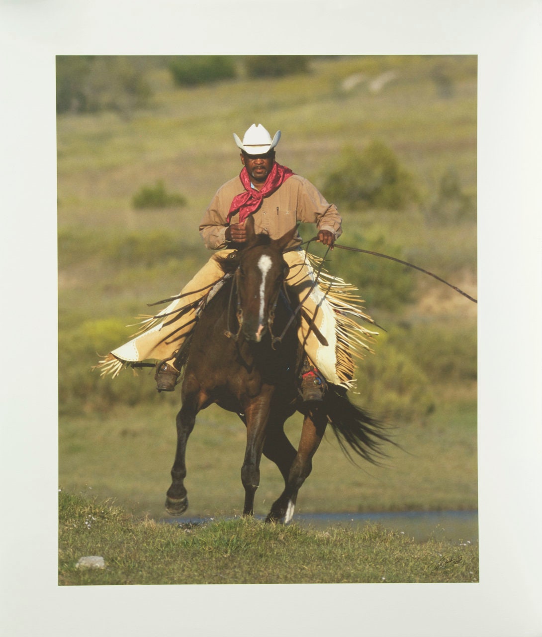 David Stoecklein Store