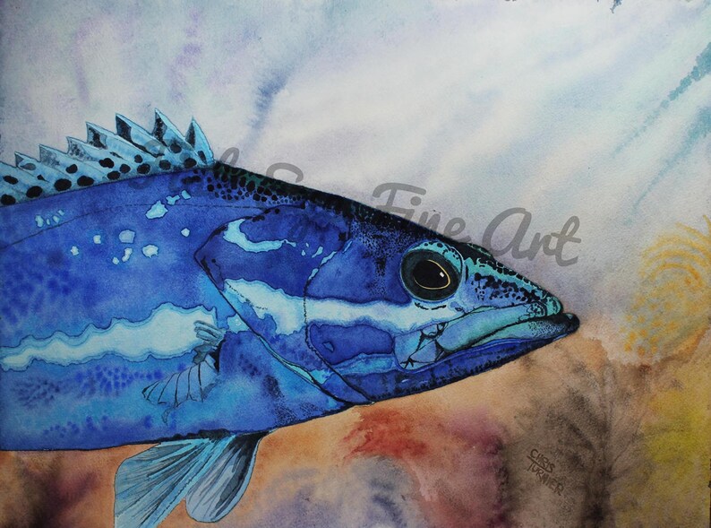 Blue Grouper Fish Watercolor Art Painting Sapphire Blue High Quality ...