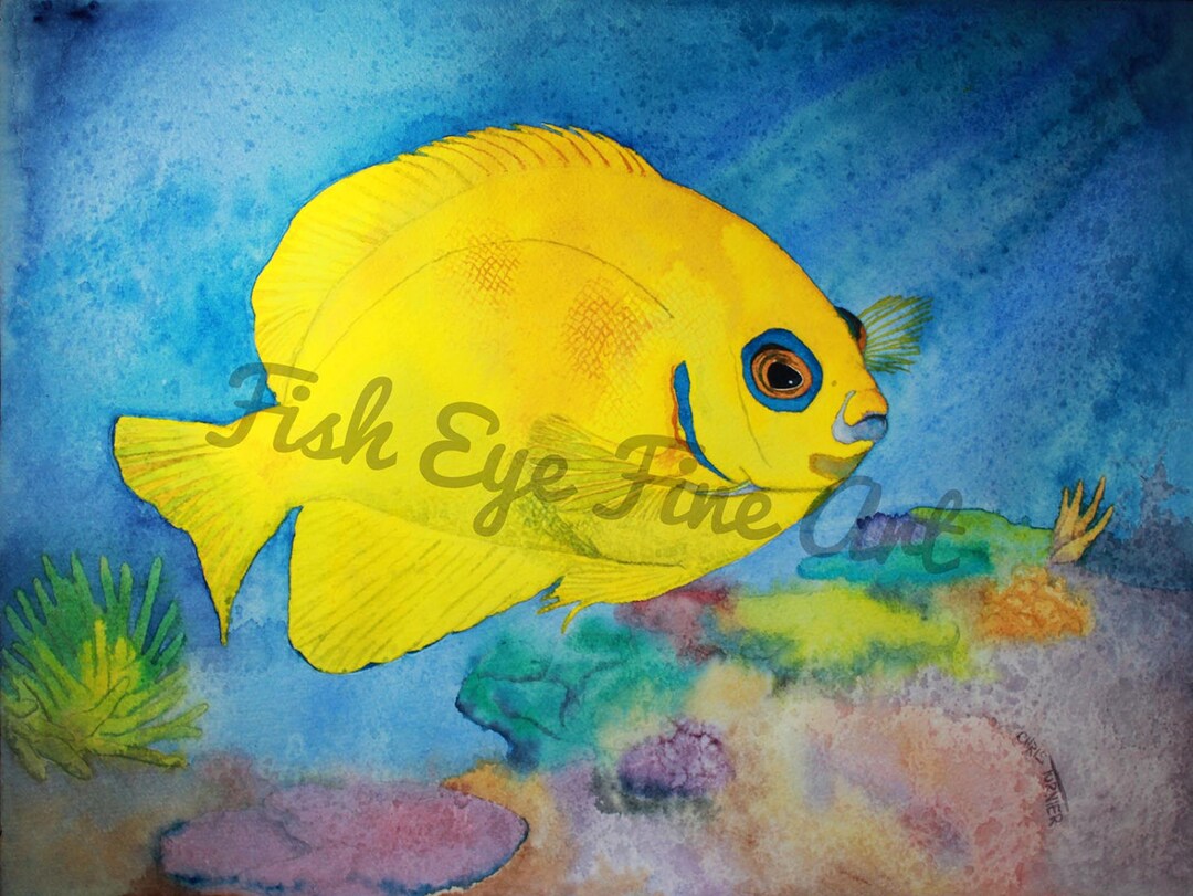 Lemonpeel Angel Fish Watercolor Painting | Tropical Fish Art Painting ...
