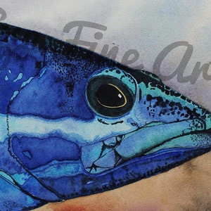 Blue Grouper Fish Watercolor Art Painting Sapphire Blue High Quality ...