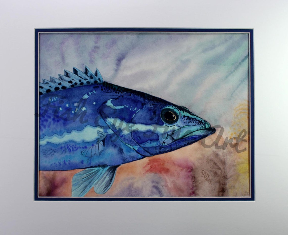 Blue Grouper Fish Watercolor Art Painting Sapphire Blue High Quality ...