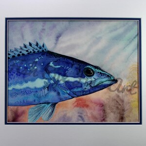Blue Grouper Fish Watercolor Art Painting Sapphire Blue High Quality ...