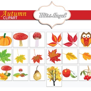 Autumn Clipart. Pumpkin, Mushrooms, Leaves, Tree, Berries, Pear, Owl ...