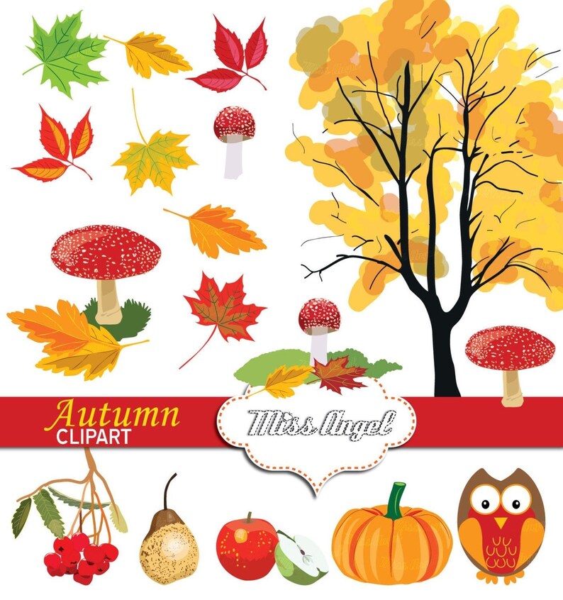 Autumn Clipart. Pumpkin, Mushrooms, Leaves, Tree, Berries, Pear, Owl ...
