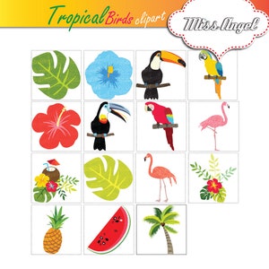 Tropical Birds Clipart. Parrot Clipart. Flamingo Clip Art. Toucan Clip ...