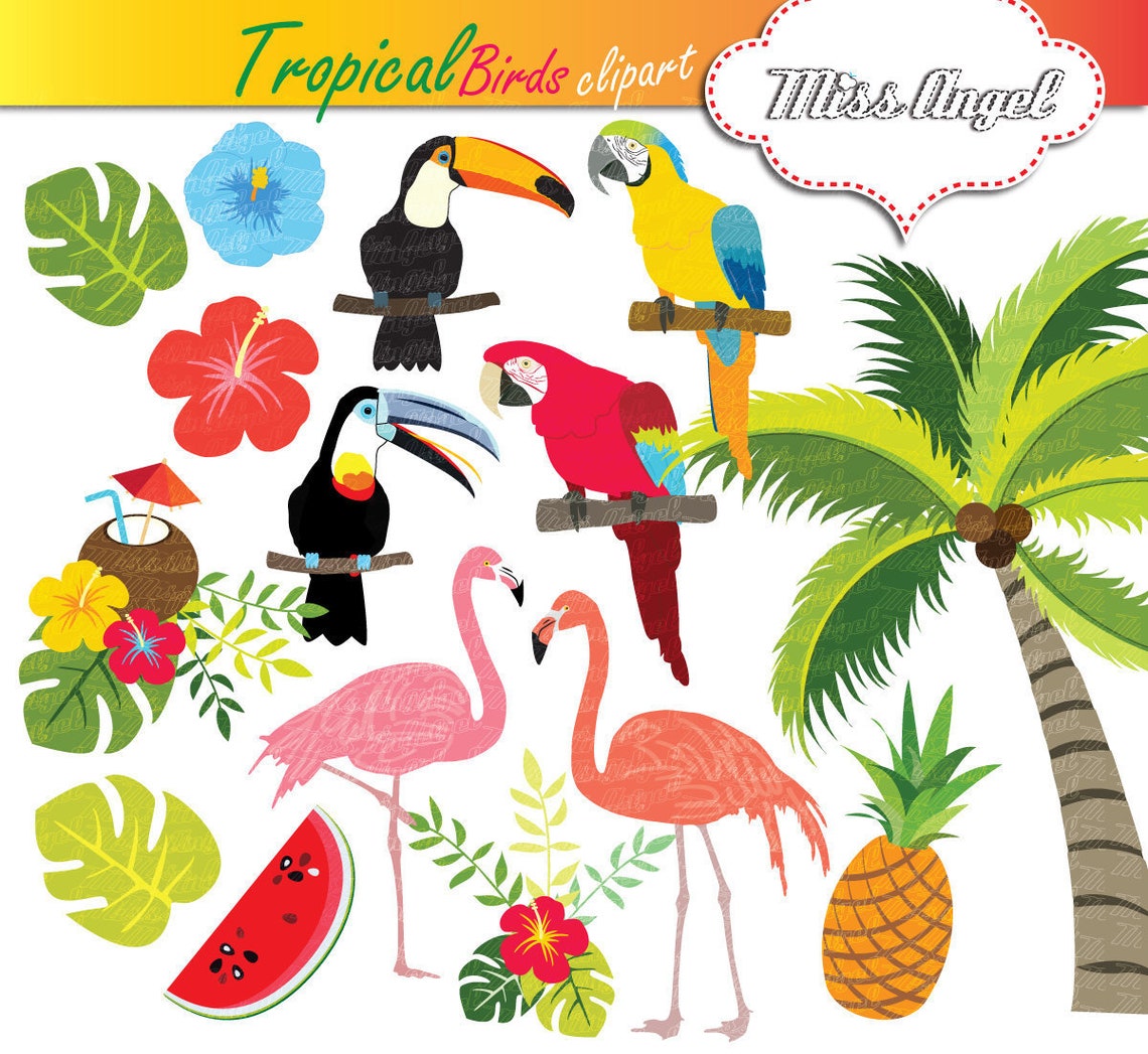 Tropical Birds Clipart. Parrot Clipart. Flamingo Clip Art. Toucan Clip ...