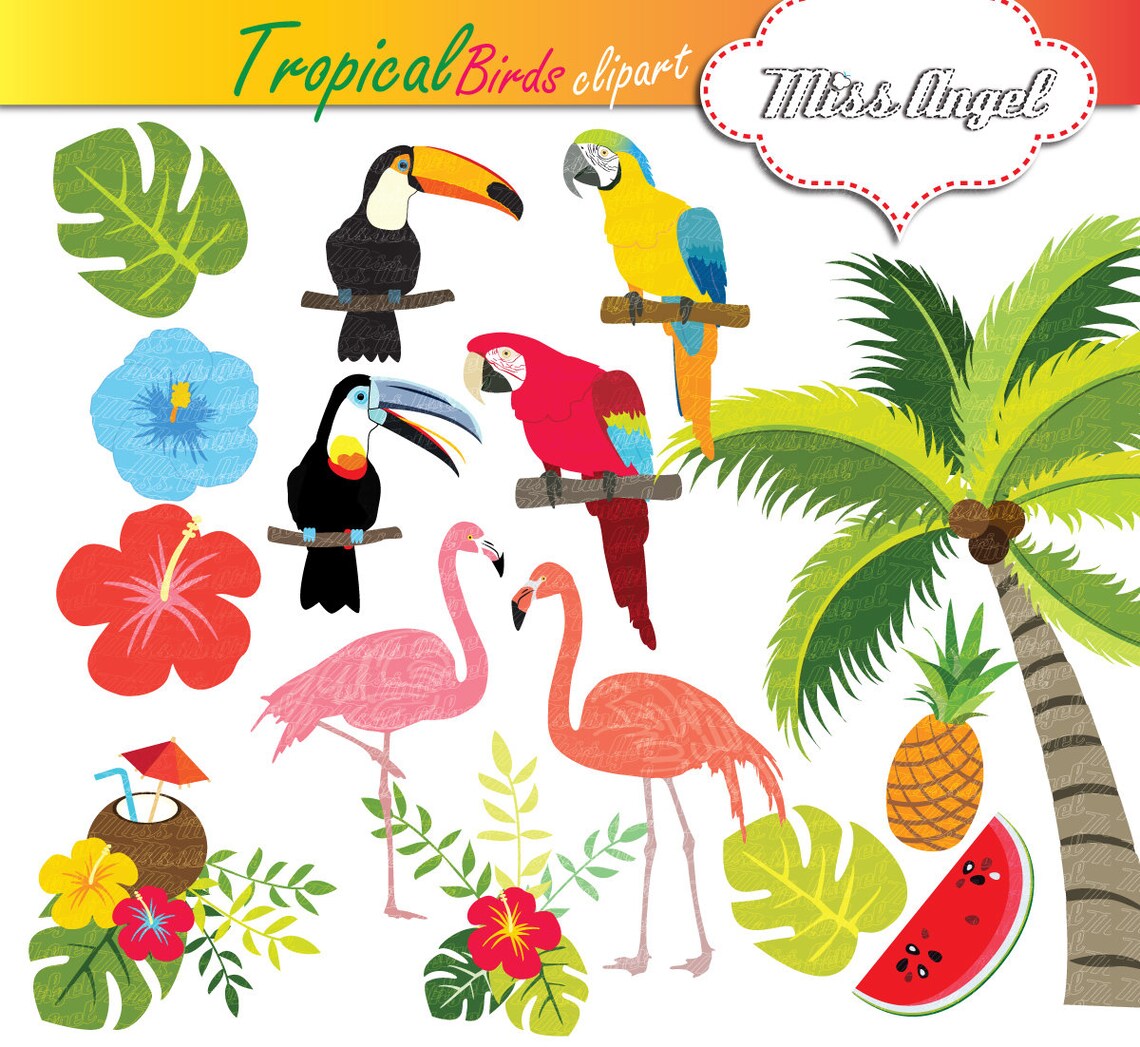 Tropical Birds Clipart. Parrot Clipart. Flamingo Clip Art. Toucan Clip ...