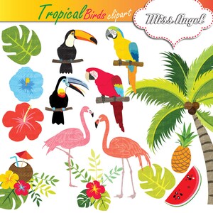 Tropical Birds Clipart. Parrot Clipart. Flamingo Clip Art. Toucan Clip ...