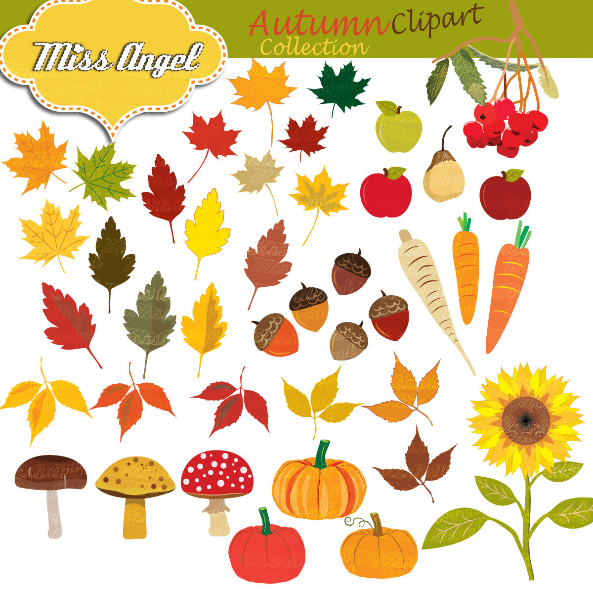 Autumn Clipart. Digital Fall Clipart. Nature Bundle: Leaves - Etsy
