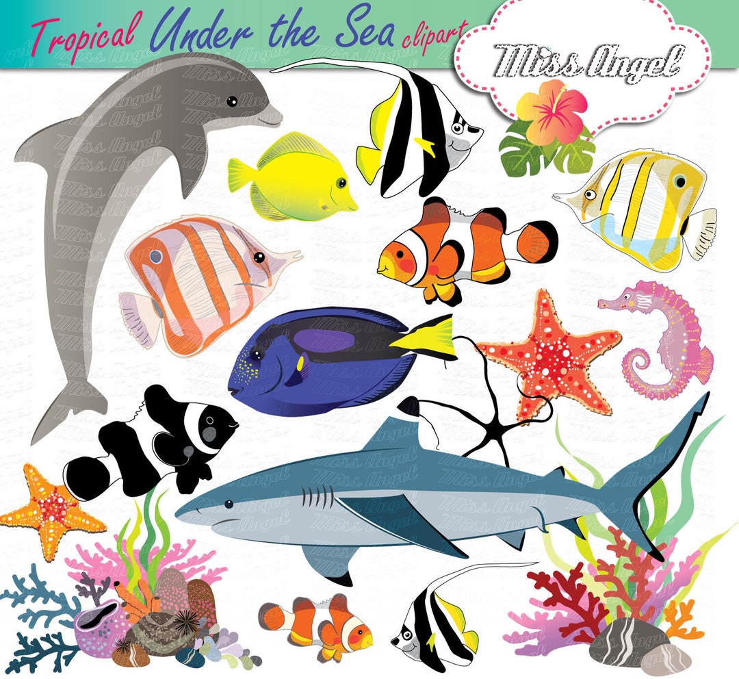 Under the Sea Clipart. Tropical Underwater Clipart. Sea Creatures ...