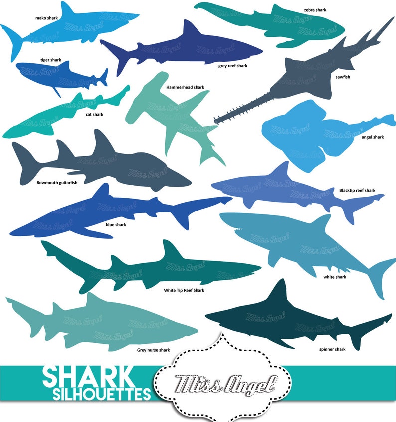 Sharks Silhouettes Clip Art. Digital Shark Silhouettes Blue | Etsy