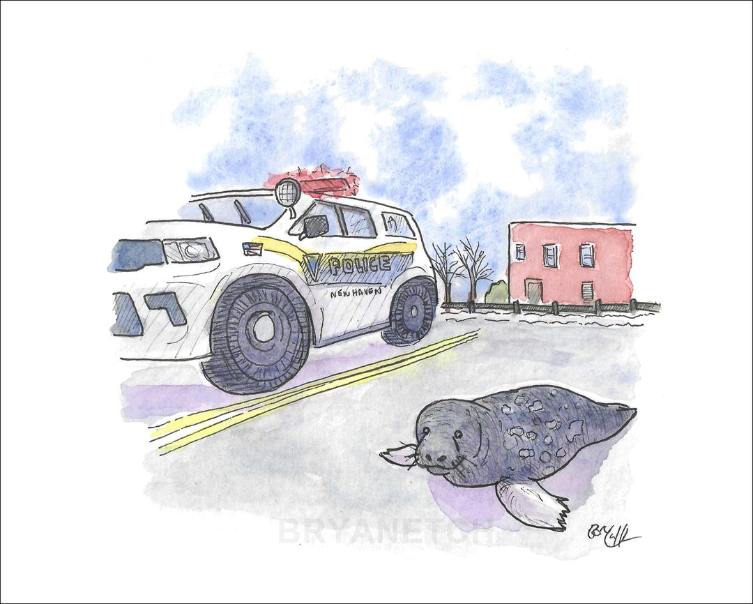 New Haven Baby Seal Original Watercolor Art by Bryan Etch - Chappy the ...